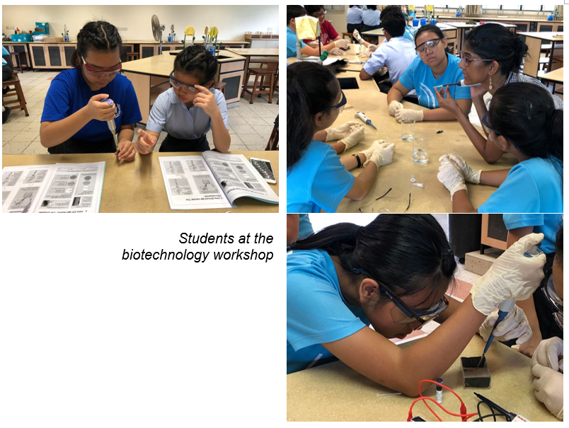 Applied Learning Programme (ALP)