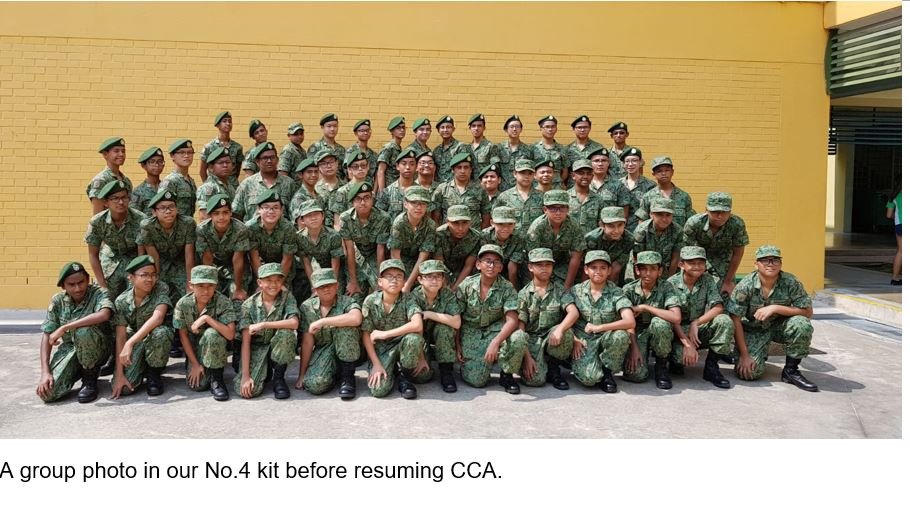 National Cadet Corps (Land)